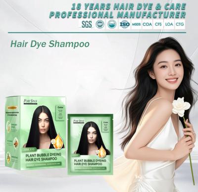 China Herbal Formula OEM Bubble Dye Shampoo 3 in 1 Hair Color Shampoo for Black Hair Plant Dye Shampoo for sale