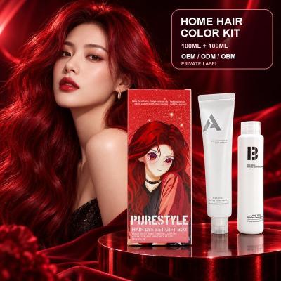 China 100ml + 100ml Home Hair Dye Kit OEM | Hair Color Manufacturer for sale