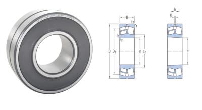 China Spherical roller bearings BS2-2313-2CSK for sale