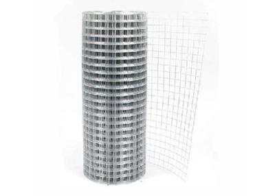 China Galvanized welded wire mesh for sale