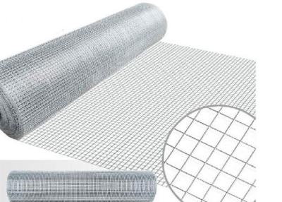 China Galvanized welded wire mesh for sale