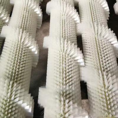 Chine Brosse de rouleau de nettoyage de fruits Brosse de rouleau de nettoyage de fruits et légumes en nylon ronde industrielle à vendre
