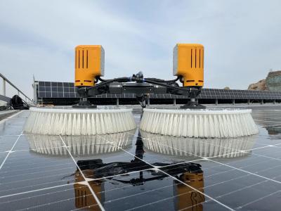 China X4 Double Head Solar Cleaning Rotating Brush Soft Bristle for sale
