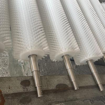 China Industrial Machinery Cleaning Machine Brush Roller Fruit Cleaning Glass Brush for sale