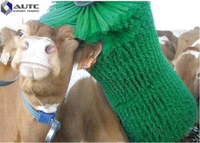China Customized Color Rotating Cow Brush , Cattle Scratcher Brush Hard Plastic PP for sale