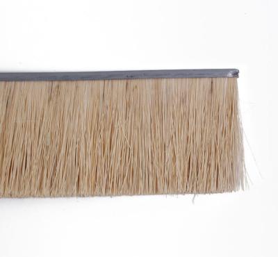 Cina Lama d'insabbiamento della spazzola del sisal di rimozione di polvere di lucidatura della striscia della spazzola del sisal della macchina della macchina per la lavorazione del legno della spazzola della fibra del sisal in vendita