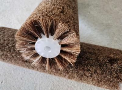 Китай Щетки ролика PVC Derust кабеля лошади цилиндрические спиральные продается