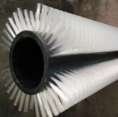 Cina Spazzola circolare per il macchinario di alimento di pulizia in vendita