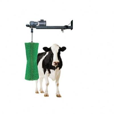 China Dairy Farm Equipments Automatic Cow Body Brush For Cow Massage With The Motor for sale
