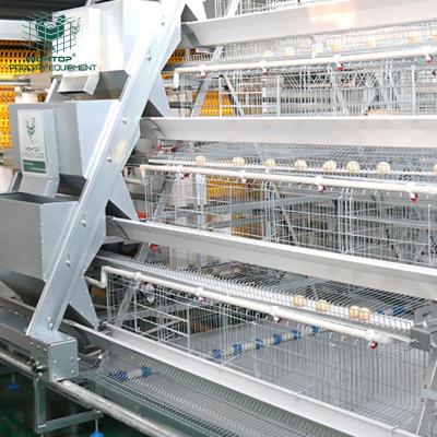 China Morden Equipment Layers Egg Layer Chicken Cage For Poultry With Automatic Feeding for sale