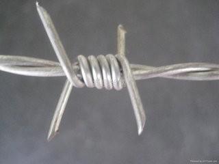 China hot sale Barbed wire length per roll /barbed wire fence/barbed wire for sale