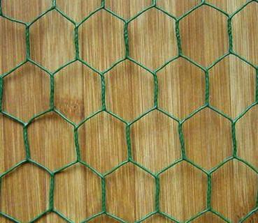 China hexagonal wire mesh (factory manufacture) for sale