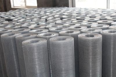 China Concrete Reinforcing Steel Galvanized Welded Wire Mesh For Fence for sale