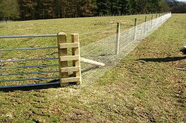 China 100*100mm Mesh Opening Galvanized Chain Link Fence for sale
