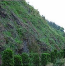 China Black Chain Link Fence with Barbed Wire for sale
