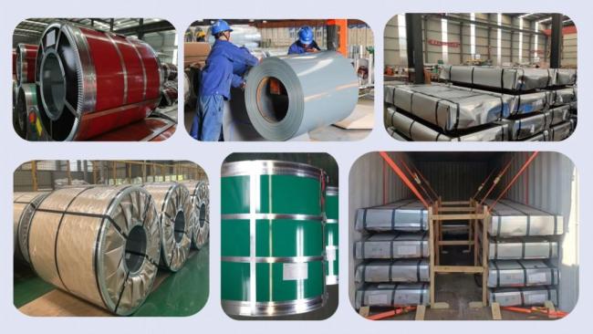 High Quality Coil PPGI Steel OEM Rolled PPGI Color Coated Coil