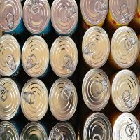 Quality Gi/Galvanized/Galvanised Steel Coil for Canning Industry for sale