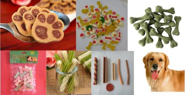 Single Screw Extruder food processing machine