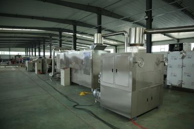 Cina Linea di trasformazione linea dei fiocchi di mais 300KG/H di produzione del cereale da prima colazione in vendita