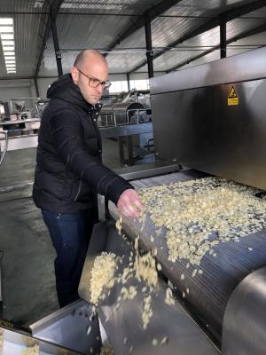 Cina Linea di trasformazione linea dei fiocchi di mais 300KG/H di produzione del cereale da prima colazione in vendita