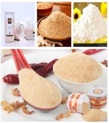 Cina Di latte in polvere che produce macchina/riso di nutrizione spolverizzare fabbricazione della macchina in vendita