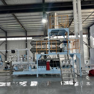 China Feed Pellet Extruder Twin Screw Pet Food Extruder Machinery with CE Approved for sale