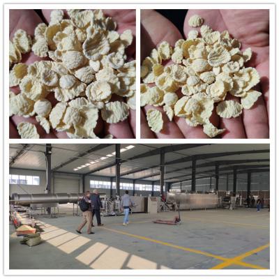 China Kellog Crispy Cereal Corn Flakes Processing Line / Corn Flakes Production Line for sale