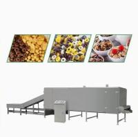 China Corn Flakes Production Line With CE Standard for sale