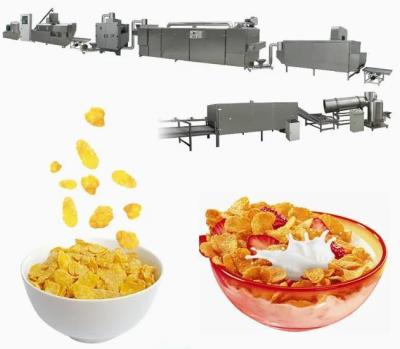 China 330kw Breakfast Cereals Corn Flakes Equipment  Corn Flakes Dryer 45x5x3m for sale