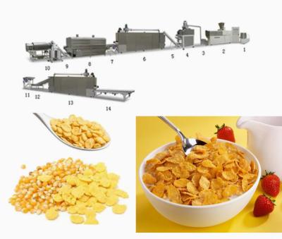 China New Stainless steel Corn Flakes Processing Line Twin Screw Extruder Machine for sale