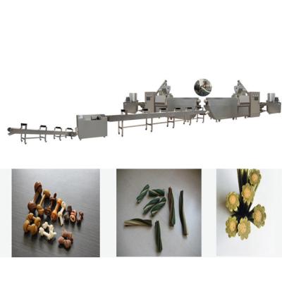 Китай Непрерывная & автоматическая машина штрангпресса собачьей еды для собаки, кота, животного продается