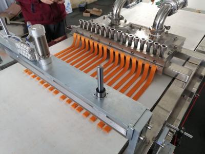 Cina La carne per cani spoglia la linea d'espulsione dell'estrusione di Foring della macchina del cibo per cani della striscia fredda della carne in vendita