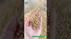 200-4000 kg/h wet Type floating fish feed pellet extruder machine #wet-type fish feed extruder
