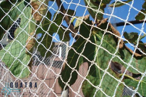 Sample net products 8