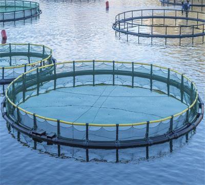 China Top Rated Knotless Deep Sea Fishing Net Making Machine for sale