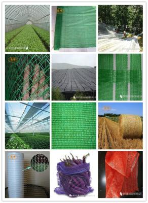 中国 7500W ワート ワーム ニット ハイネット 製作 機 260インチ 幅 販売のため