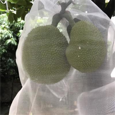 Cina Macchina agricola del reticolato di fabbricazione netta della prova dell'ape CE facile TUV di manutenzione approvato in vendita
