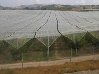 China High Performance Agricultural Netting Machine Computerized Knitting Machine for sale