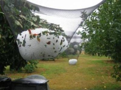China High Performance Agricultural Netting Machine Knitting Style For Hail - Proof Net Making for sale