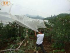 White Color Medical Net Weaving Warp Knitting Machine
