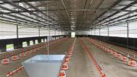 Quality Aluminum Magnesium Zinc Coated Frame Poultry Cage Equipment Seeder Feeding for sale
