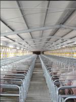 Quality Physiological Parameter Based Design Pig Breeding Equipment RFID Intelligent Sow for sale