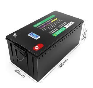 China Excellent factory supply 12v 100Ah Lithium  ion battery with BMS for sale