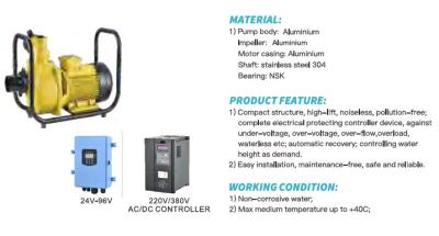 China Wholesale Max Head 14m Solar Water Pump for Agriculture 1.5HP 110V BLDC Surface Pump for sale