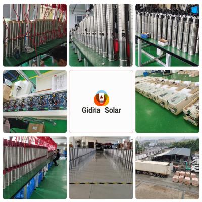 Cina 1Hp Solar Water Pump with Max. Head of 14m AC DC Solar Surface Pump in vendita