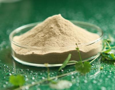 China Calcium Lignin Sulfonate C20H24CaO10S2 With Cheap Price for sale