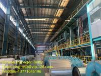 China Durable Tinplate Coil For Packaging Solutions Customizable Sizes And Thickness for sale