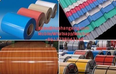 China Zhejiang United Iron&Steel CO LTD PPGI Color Coated Steel Coil , Hot Dipped Galvanized Steel Coil 0.2-1.2mm Thickness for sale
