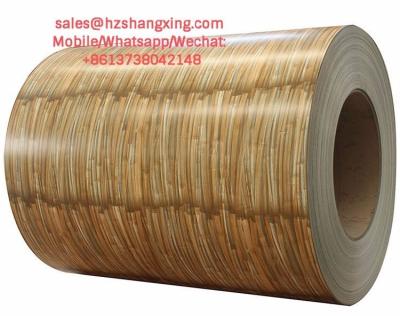 China Galvanized Steel coil hot sale for sale