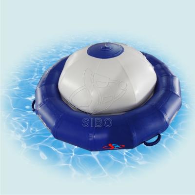 China Jogos infláveis dos esportes, bomba da certificação do CE dentro dos parques da água, feitos do Pvc de Plato à venda
